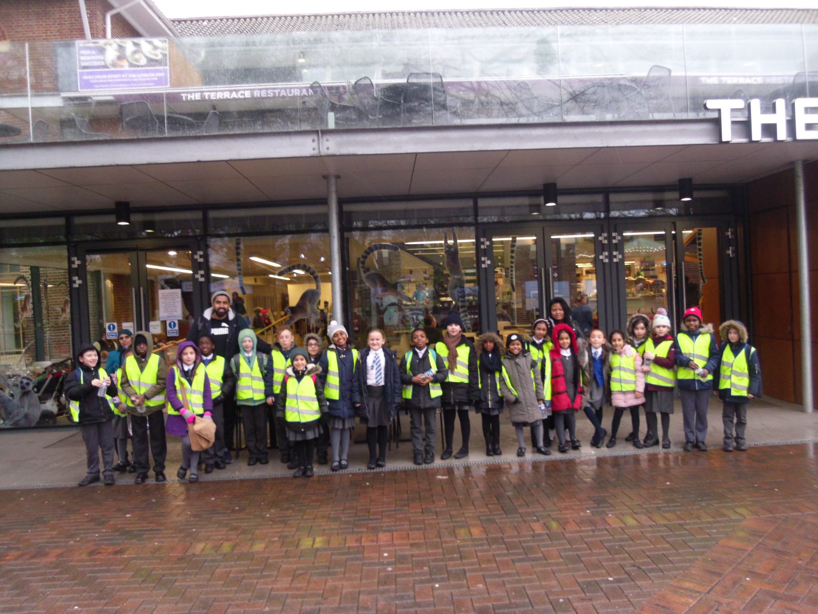 Year 4 Trip to London Zoo – Simon Marks Jewish Primary School